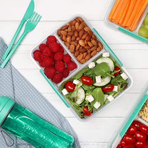 Sistema To Go Multi Split Food Storage Container, Clear with Coloured Clips, 820 ml