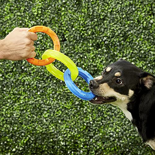 Nerf Dog Rubber 3-Ring Tug Dog Toy, Lightweight, Durable and Water Resistant, 10.5 Inches, for Medium/Large Breeds, Single Unit, Blue/Green/Orange