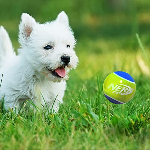 Nerf Dog 2 inch TPR Squeak Tennis Ball 2-Pack