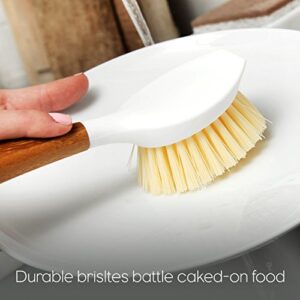 Full Circle Kitchen Sink Set - Ceramic Organizer with Be Good Dish Brush and In a Nutshell Scrubbing Sponges