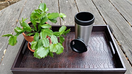 Stainless Steel Travel Mug with Push Down Lid, 14 oz Sold by whatsnext