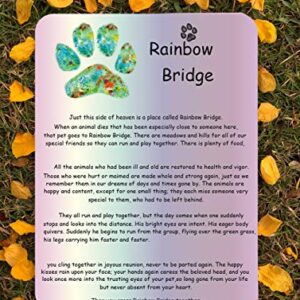 A.B.C. Pet Memorial Bracelet-Loss of Pet Gifts with Rainbow Bridge Card in Loving Memory of Your Beloved Dog Cat- Pet Loss Jewelry