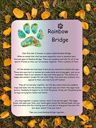 A.B.C. Pet Memorial Bracelet-Loss of Pet Gifts with Rainbow Bridge Card in Loving Memory of Your Beloved Dog Cat- Pet Loss Jewelry