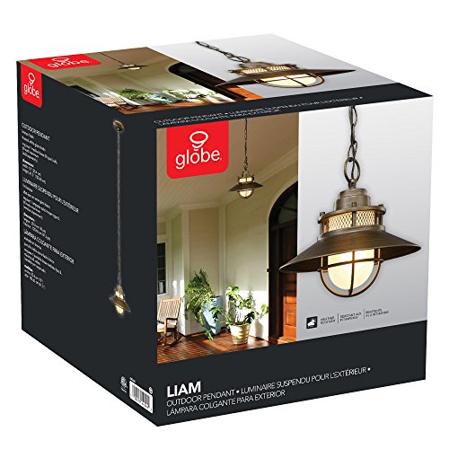 Liam 1-Light Outdoor Pendant, Bronze, Brushed Finish, White Frosted Glass Shade,44244