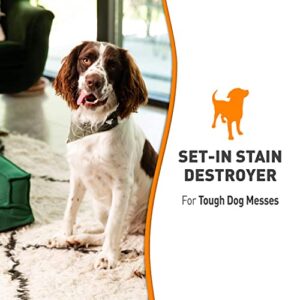 Nature's Miracle Dog Oxy Set-in Stain Destoyer