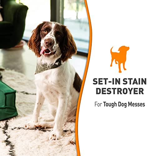 Nature's Miracle Dog Oxy Set-in Stain Destoyer