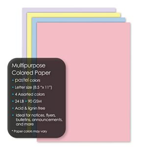 iQ Multipurpose Pastel Colored Copy Paper, Laser and Inkjet Compatible, 8.5 x 11 Inches, 24 Lb., 90 GSM, 100 Sheets (80110)