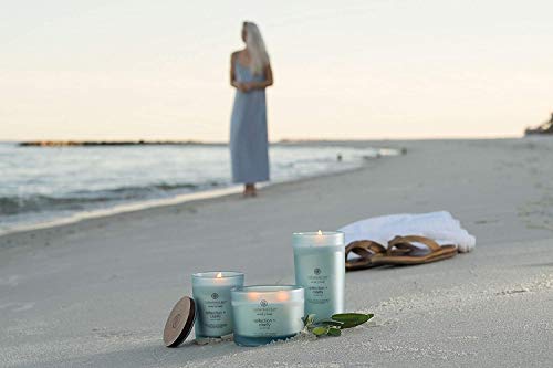 Chesapeake Bay Candle Scented Candles, Reflection + Clarity (Sea Salt Sage), Medium (2-Pack)