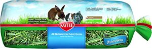 kaytee orchard grass 24oz