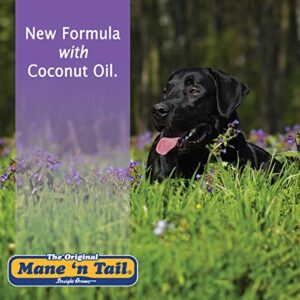 Mane 'n Tail New Ultimate Gloss Conditioner 32 Ounce