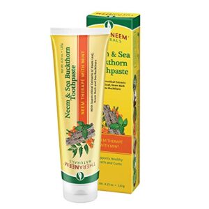 theraneem neem & sea buckthorn toothpaste, mint | supports clean, healthy teeth and gums | no fluoride, vegan | 4.23oz