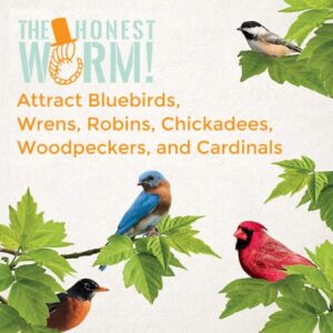 THE HONEST WORM Wild Bird Magnet | Premium Freeze Dried Mealworms | Living Sight Attractant | Ethically Sourced Natural Organic Yellow Worms | High Protein Treats for Birds & Exotic Pets | (7oz)