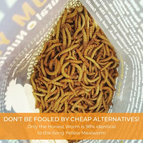 THE HONEST WORM Wild Bird Magnet | Premium Freeze Dried Mealworms | Living Sight Attractant | Ethically Sourced Natural Organic Yellow Worms | High Protein Treats for Birds & Exotic Pets | (7oz)