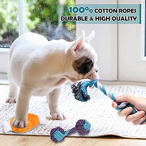 BUIBIIU Dog/Puppy Teething Toys, Assorted Chew Toys, 6 ct