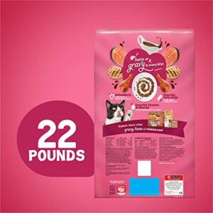 Purina Friskies Dry Cat Food, Gravy Swirlers - 22 lb. Bag