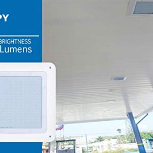 Hytronics 150W LED Canopy Light, 500-750W HPS/HID Replacement, 21000 Lumens, 140 LM/W, 5000K, Waterproof and Outdoor Rated, DLC&UL Listed, Gas Station, Street, Area & Outdoor Lighting, White