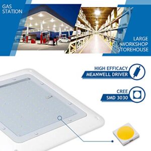 Hytronics 150W LED Canopy Light, 500-750W HPS/HID Replacement, 21000 Lumens, 140 LM/W, 5000K, Waterproof and Outdoor Rated, DLC&UL Listed, Gas Station, Street, Area & Outdoor Lighting, White