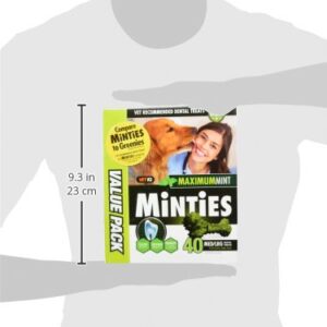 VetIQ Minties Dog Dental Bone Treats, Dental Chews for Dogs, (Perfect for Medium / Large Dogs over 40 lbs)