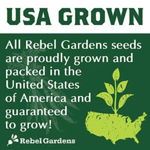 Heirloom Vegetable Seeds for Planting: 13 Varieties of Organic Non-GMO Open Pollinated Garden Seed - Weird and Rare Varieties Perfect for Kids and School Gardens