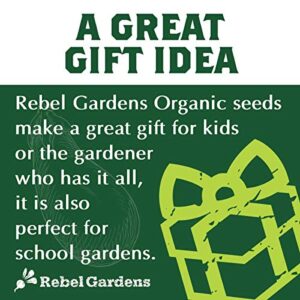 Heirloom Vegetable Seeds for Planting: 13 Varieties of Organic Non-GMO Open Pollinated Garden Seed - Weird and Rare Varieties Perfect for Kids and School Gardens