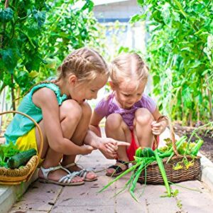 Heirloom Vegetable Seeds for Planting: 13 Varieties of Organic Non-GMO Open Pollinated Garden Seed - Weird and Rare Varieties Perfect for Kids and School Gardens