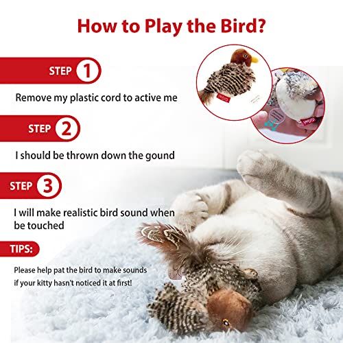 Gigwi Interactive Electronic Cat Toy, Automatic Chirping Bird Cat Toy Squeaky with Feather Tail, Melody Chaser Toy Bird for Cats to Play Alone, Play and Squeak Kitten Toy for Boredom