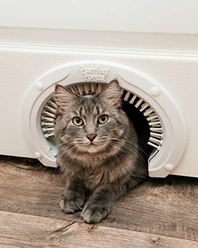 Cat Door for Interior Doors with Grooming Brush - Large Pet Cat Pass for Adult Cats up to 20 Lbs - Easy to Install Pet Door w/ Brush Plus Detailed Instructions, Screws & Screw Caps