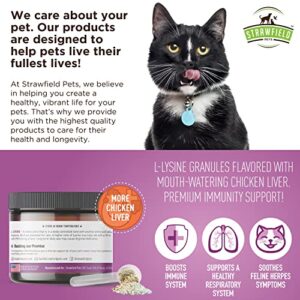 L-Lysine for Cats Supplement Powder Granules for Cat Cold, Sneezing, Congestion, Running Nose, Respiratory, Allergy Relief | Cats & Kittens of All Ages | Cat Health Supplies