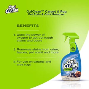 OxiClean® Carpet Pet Stain Remover 24oz