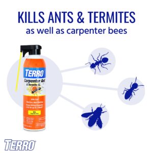 TERRO T1901-6 Ready to Use Indoor and Outdoor Carpenter Ant, Termite, and Carpenter Bee Killer Aerosole Spray - 16 Ounces