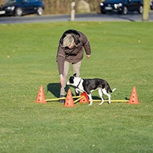 TRIXIE Dog Agility Hurdle Cone Set, Portable Canine Agility Training Set, 6 Exercise Cones with 3 Agility Rods