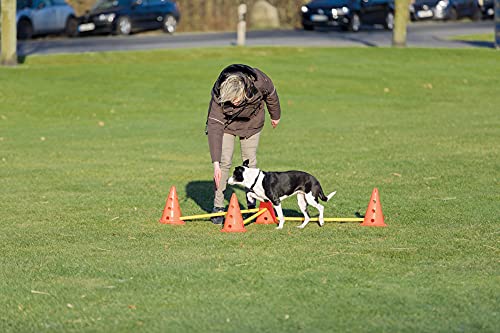 TRIXIE Dog Agility Hurdle Cone Set, Portable Canine Agility Training Set, 6 Exercise Cones with 3 Agility Rods