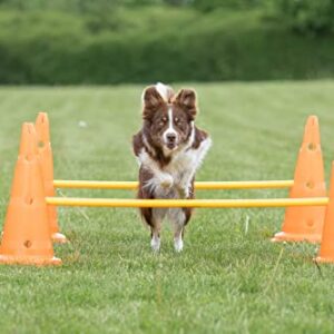 TRIXIE Dog Agility Hurdle Cone Set, Portable Canine Agility Training Set, 6 Exercise Cones with 3 Agility Rods