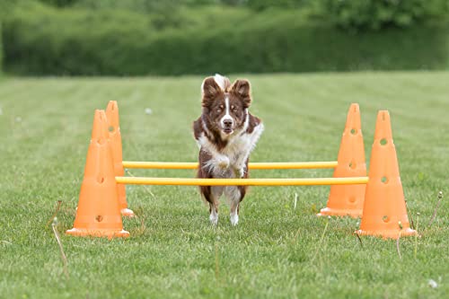 TRIXIE Dog Agility Hurdle Cone Set, Portable Canine Agility Training Set, 6 Exercise Cones with 3 Agility Rods