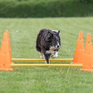 TRIXIE Dog Agility Hurdle Cone Set, Portable Canine Agility Training Set, 6 Exercise Cones with 3 Agility Rods