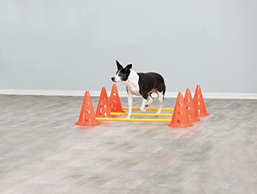 TRIXIE Dog Agility Hurdle Cone Set, Portable Canine Agility Training Set, 6 Exercise Cones with 3 Agility Rods