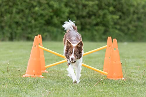 TRIXIE Dog Agility Hurdle Cone Set, Portable Canine Agility Training Set, 6 Exercise Cones with 3 Agility Rods