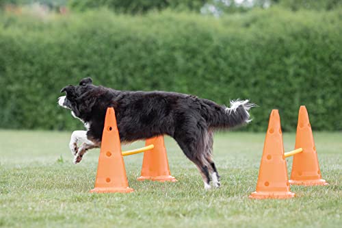 TRIXIE Dog Agility Hurdle Cone Set, Portable Canine Agility Training Set, 6 Exercise Cones with 3 Agility Rods