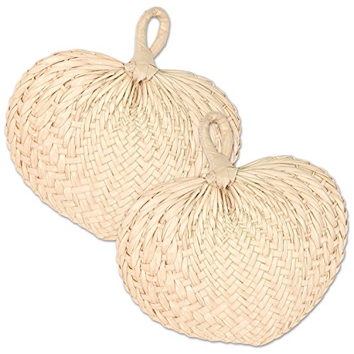 Natural Raffia Tropical Hand Fans