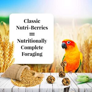 LAFEBER'S Classic Nutri-Berries Conure Food, Made with Non-GMO and Human-Grade Ingredients, for Conures (Classic 10 oz)