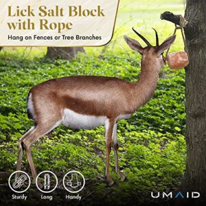 UMAID Himalayan Salt Lick 6 lbs On Rope for Horse, Deer, Goat, and Livestock Animals - Himalayan Salt Block 2 Pack