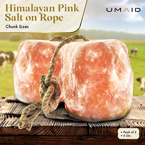 UMAID Himalayan Salt Lick 6 lbs On Rope for Horse, Deer, Goat, and Livestock Animals - Himalayan Salt Block 2 Pack