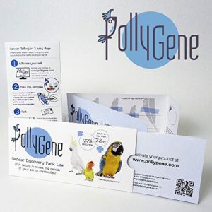 bird sexing dna slim sample card. gender reveal test for parrots, macaws, lovebirds, cockatoos, grey african, silkies‎, cockatiels (+300 psittacines) avian sexing dna testing