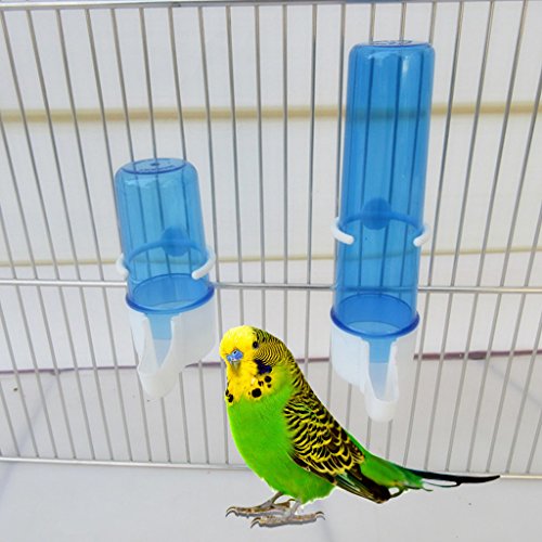 Wodwad Parrot Feeder Automatic Water Drink Container Food Dispenser Cage Birds Supplies (L)