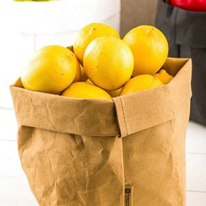 Restaurantware DuraLux 6.3 x 9.8 Inch Washable Grocery Bag, 1 Heavy-Duty Paper Bag Flower Pot - Reusable, Store Produce Or Plants, Kraft Paper Eco-Friendly Shopping Bag, For Organizing Pantries Or Kitchens, Small