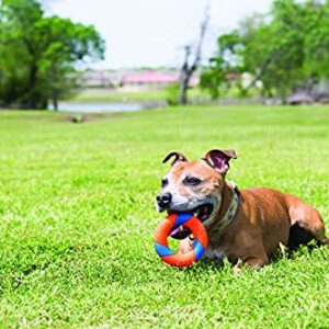 Chuckit! UltraRing Fetch and Chase Outdoor Dog Toy All Breeds