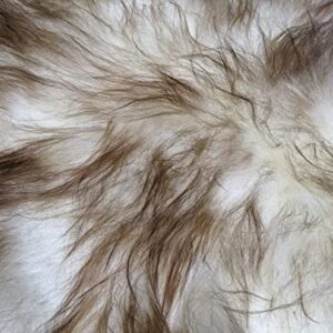 Home Collezione by Salvani Genuine Icelandic Sheepskin Rug Throw (Shade of Brown) 24"x36"