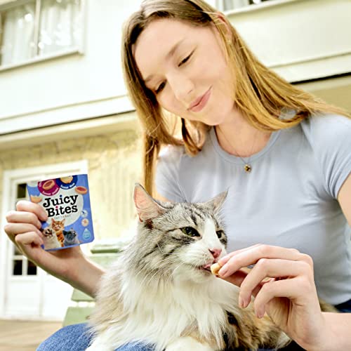 INABA Juicy Bites Grain-Free, Soft, Moist, Chewy Cat Treats with Vitamin E and Green Tea Extract, 0.4 Ounces per Pouch, 18 Pouches (3 per Bag), Tuna and Chicken