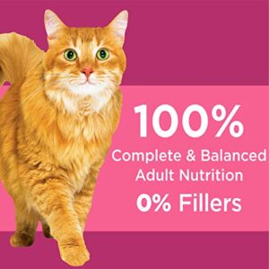 IAMS PROACTIVE HEALTH Adult Urinary Tract Healthy Dry Cat Food with Chicken Cat Kibble, 16 lb. Bag