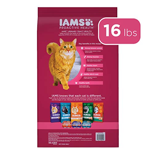 IAMS PROACTIVE HEALTH Adult Urinary Tract Healthy Dry Cat Food with Chicken Cat Kibble, 16 lb. Bag